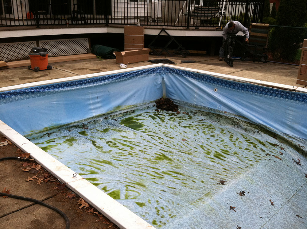 View Inground Pool Service, Renovations, Maintenance Services